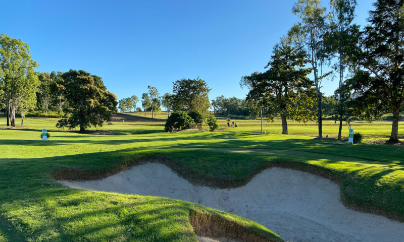 The Rules | Whitsunday Green